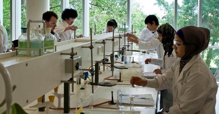 First year courses | School of Chemistry - UNSW Sydney