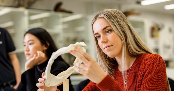 Honours: how to apply | Science - UNSW Sydney