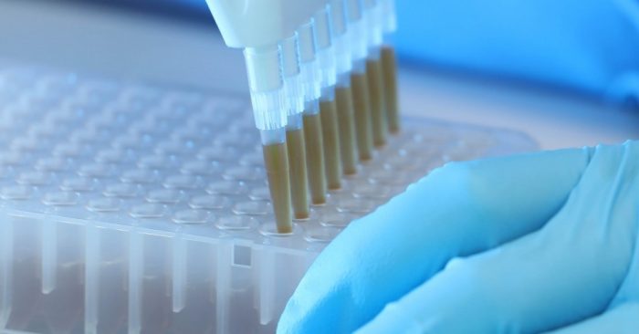 CSIRO’s VC fund Main Sequence is backing biotech startups in a new UNSW ...