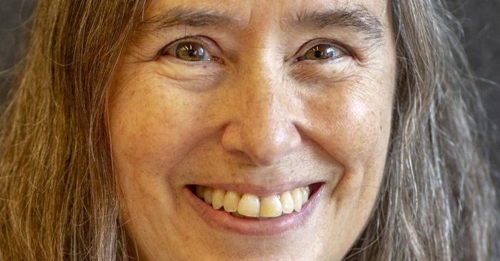 Sue Coppersmith elected 2021 Fellow with the Australian Academy of Sciences