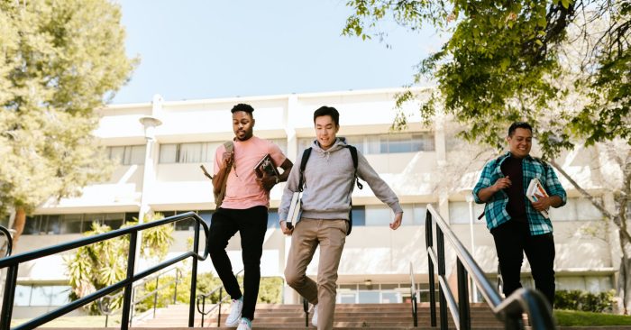 Undergraduate | School of Psychology - UNSW Sydney