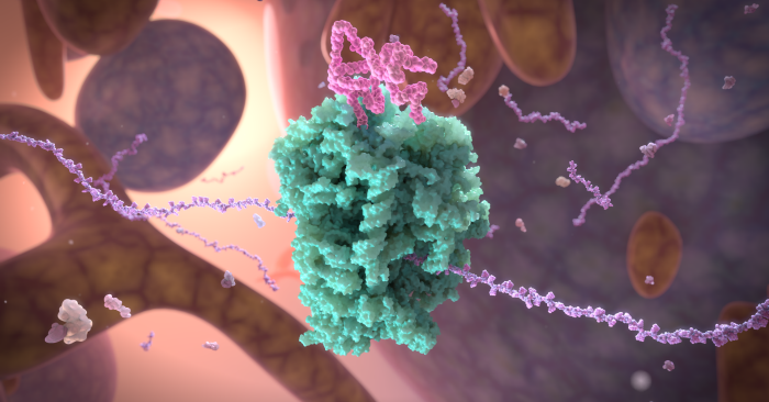 Is RNA the answer to cancer