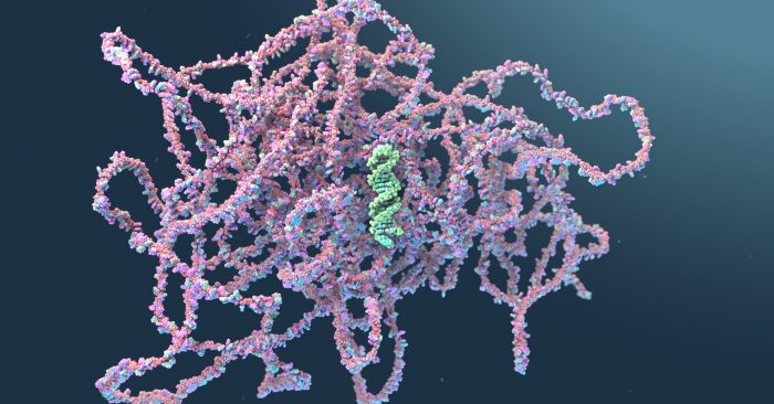 mRNA Enzymatic Production, Purification and Quality Control | RNA ...