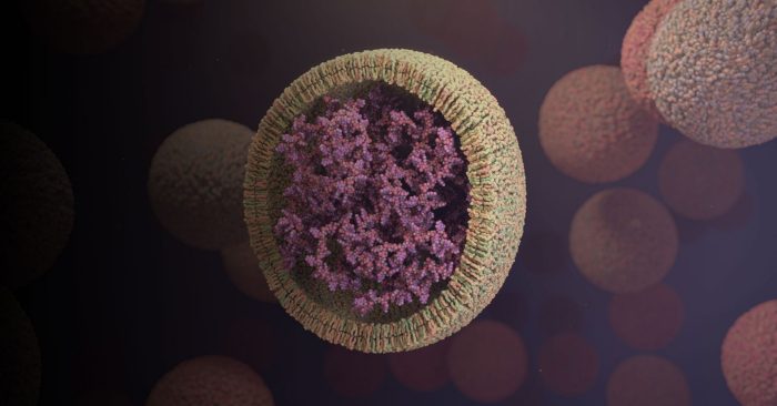 About | RNA Institute - UNSW Sydney