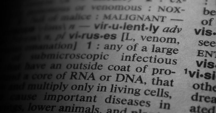 News | RNA Institute - UNSW Sydney