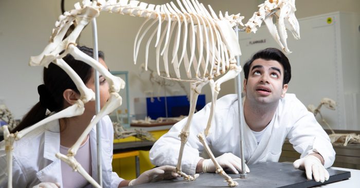 Courses | School of Biological, Earth & Environmental Sciences - UNSW ...