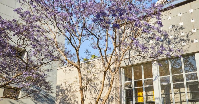 Elections | Governance - UNSW Sydney