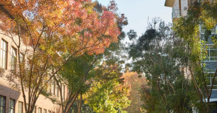 Council & committees | Governance - UNSW Sydney