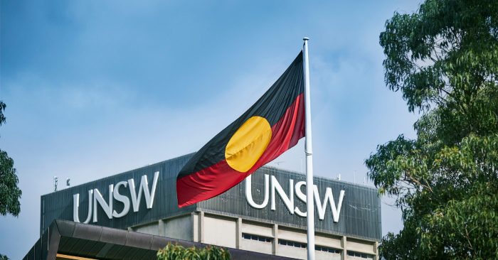 First People's Entry Pathway | School of Population Health - UNSW Sydney