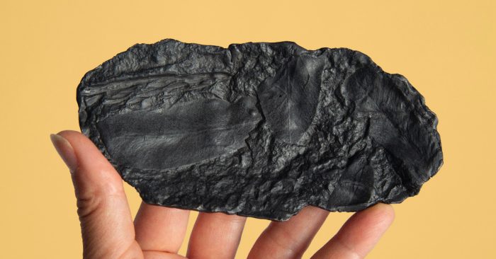 Encountering the extinction line: how art can help us re-imagine and ...