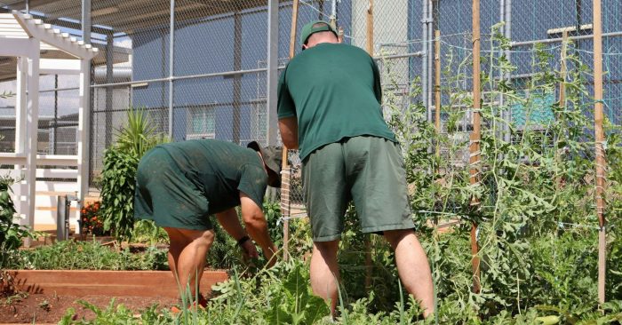 How maximum security prison inmates and officers worked together to ...