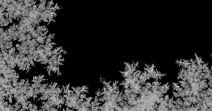 ‘A winter always coming’: Kevin Brophy’s affecting poems mine loss ...