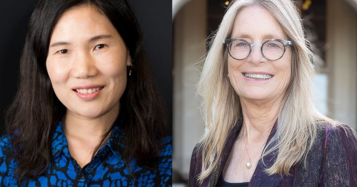 Pioneering UNSW experts in clean energy and mental health elected to ...