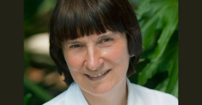 UNSW academic named ARC Industry Laureate Fellow