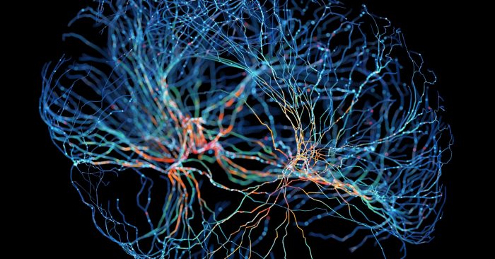Modelling your nerves for neurological insights | Biomedical ...