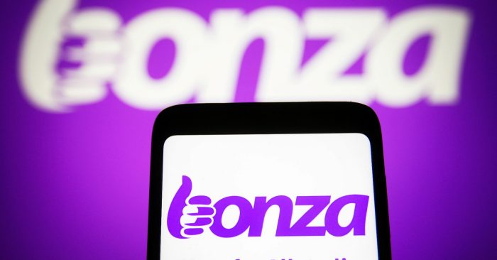 What just happened to Bonza? Why new budget airlines always struggle in ...