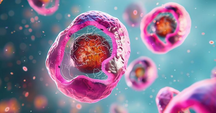Biophysics | School of Biomedical Sciences - UNSW Sydney