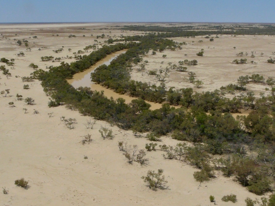 Day 6, Windorah to Quilpie | Centre for Ecosystem Science - UNSW Sydney